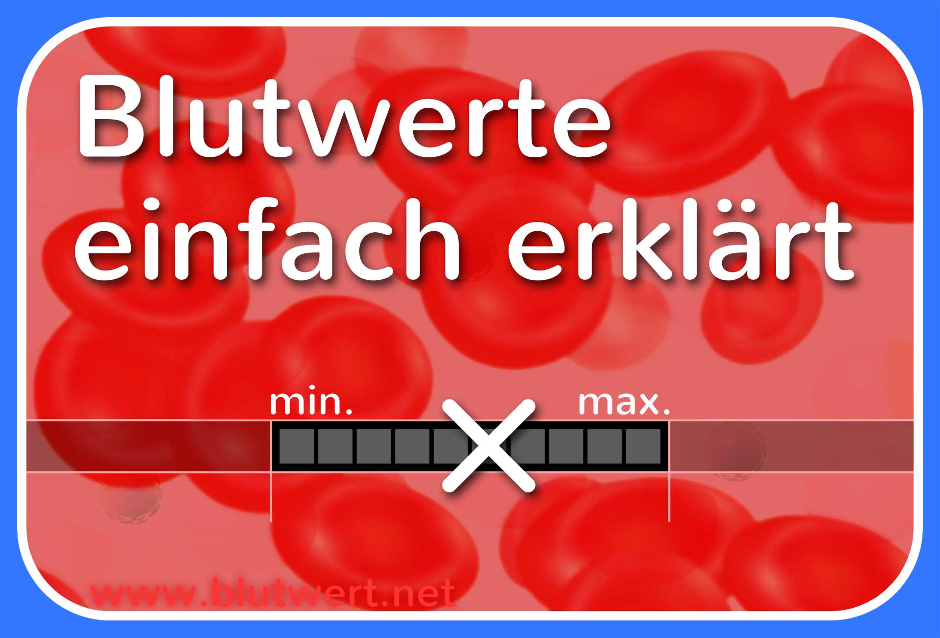 Laborwerte Verstehen